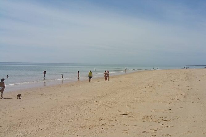 5-Hour Tour With 3 Stops Around the Islands and Beaches of Ria Formosa - Unique Experiences on the Tour