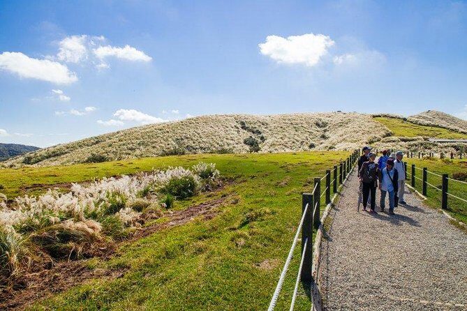 5-Hour Vegetarian Private Tour - Visit Yangmingshan and Taste Veggie Cuisine - An In-Depth Look at the Tour