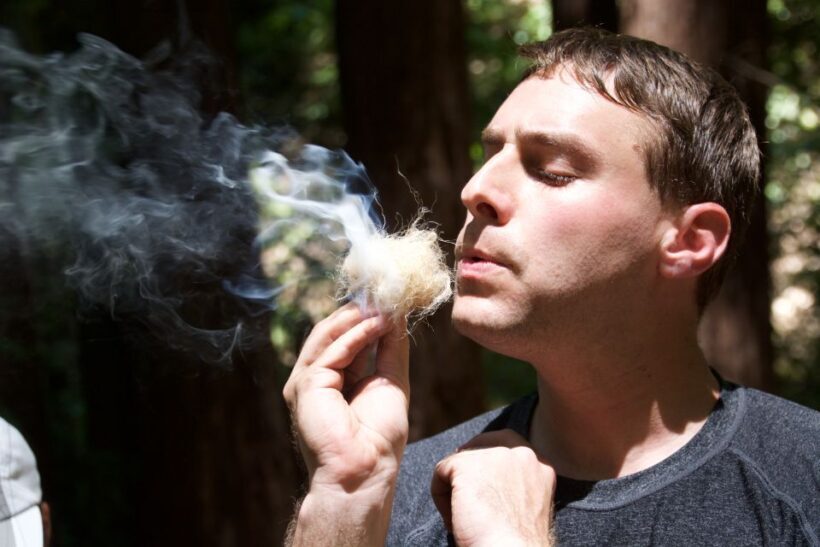 5-Hour Wilderness Skills & Survival Clinic - Analyzing the Value: Price and Experience