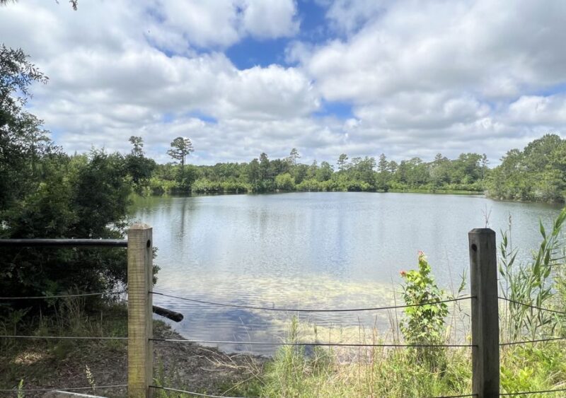 5-Hour Wilmington River to Sea E-Bike Self-Guided Tour - Key Points