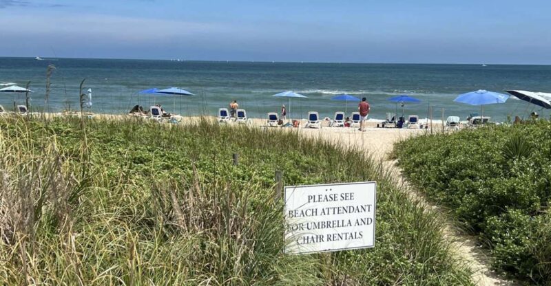 5-Hour Wilmington River to Sea E-Bike Self-Guided Tour - Who Should Consider This Tour?