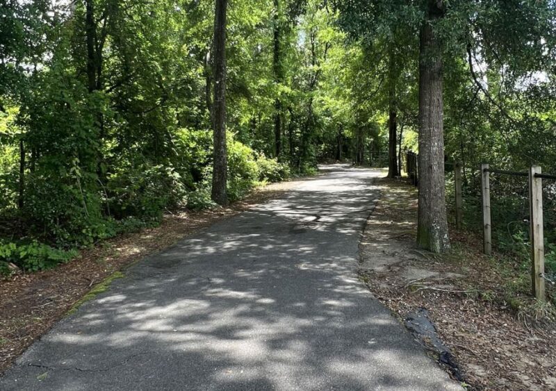 5-Hour Wilmington River to Sea E-Bike Self-Guided Tour - Practical Tips for Your Ride