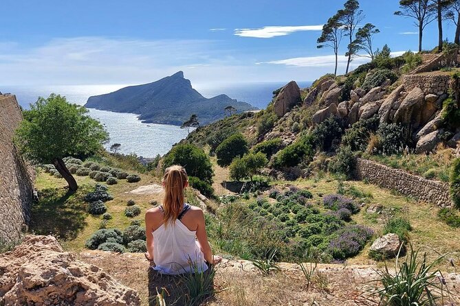 5 hours Mallorca hiking tour in Castell d Alaro - The Value of This Tour