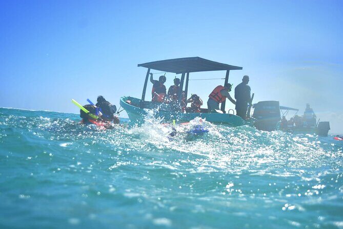 5 Hours Mayan Snorkeling Experience in Tulum - The Sum Up
