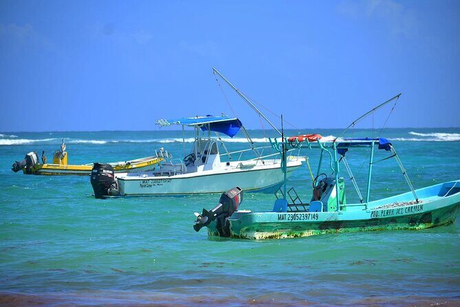 5 Hours Mayan Snorkeling Experience in Tulum - FAQ