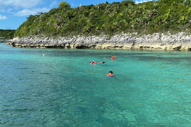 5 Hours Pigs and Turtles with Beach Stop in Bahamas - What to Expect from the Tour