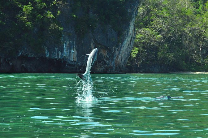 5 Hours Sharing Basis Kilim Mangrove Safari Boat Tour in Langkawi - Final Thoughts