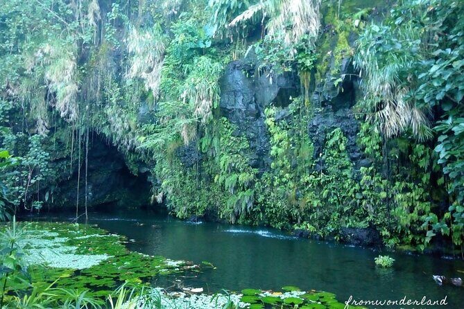 5 Hours Tahiti Island Tour - West and East Coast - Authentic Experiences and Practical Tips