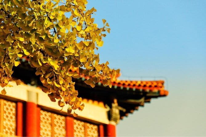 5 Hours Tour to the Terracotta Warriors Museum - FAQs