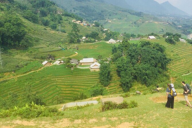 5 Hours Trekking with Terraced Rice Field in Sapa - An In-Depth Look at the Trekking Experience