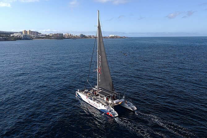 5 Hrs. Watching and Listening Whales and Dolphins Visiting Los Gigantes - Onboard Amenities and Inclusions