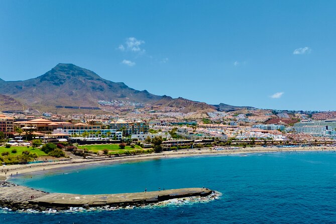5 Hrs. Watching and Listening Whales and Dolphins Visiting Los Gigantes - Meeting Point and Transportation