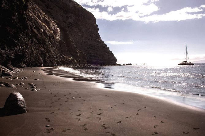 5 Hrs. Watching and Listening Whales and Dolphins Visiting Los Gigantes - What to Expect During the Tour