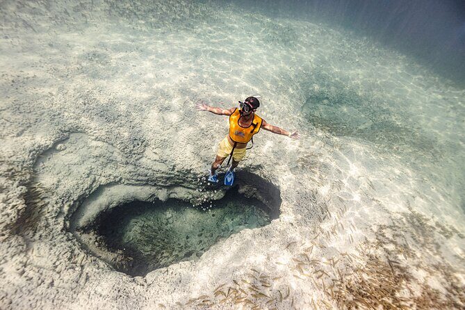 5-in-1 Cancun Snorkeling Tour with Sea Life & Transport Included - A Deep Dive into the Cancun Snorkeling Adventure
