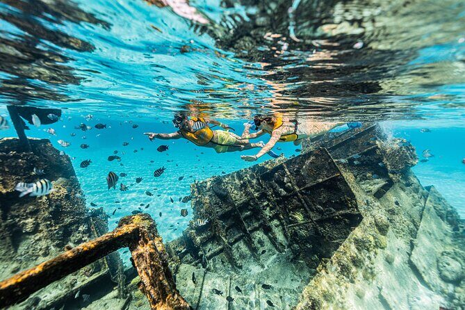 5-in-1 Cancun Snorkeling Tour with Sea Life & Transport Included - Final Thoughts