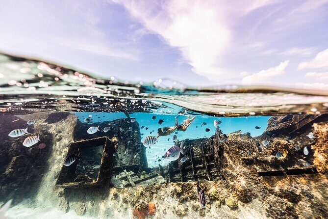 5-in-1 Cancun Snorkeling Tour with Sea Life & Transport Included - FAQs