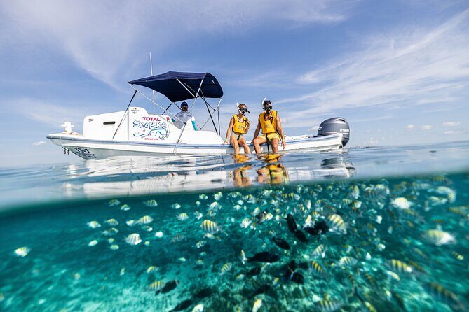 5-in-1 Cancun Snorkeling: Turtles, Reef, Musa, Shipwreck, Cenote - The Experience in Detail