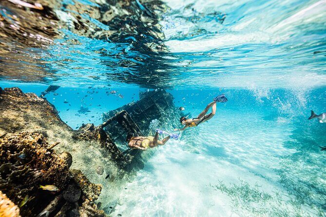 5-in-1 Cancun Snorkeling: Turtles, Reef, Musa, Shipwreck, Cenote - Potential Drawbacks and Considerations