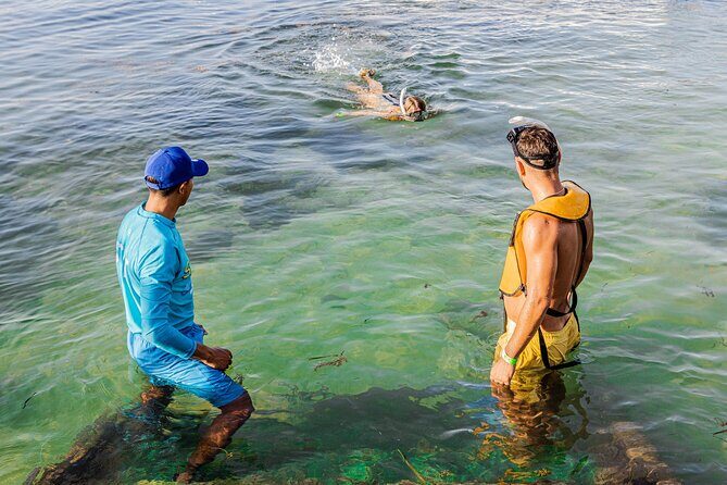 5-in-1 Cancun Snorkeling: Turtles, Reef, Musa, Shipwreck, Cenote - Final Thoughts