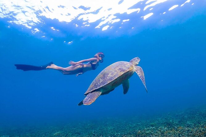 5 Islands Full-Day Tour Around Koh Tao and Koh Nangyuan - Who Should Consider This Tour?