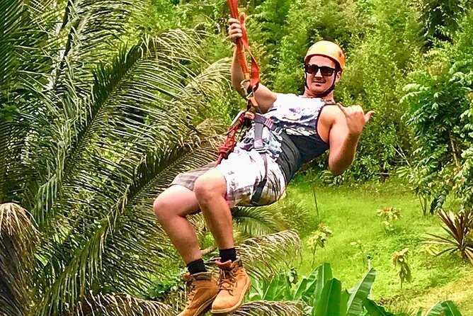 5 Line Jungle Zipline Eco Adventure - Included and Additional Information