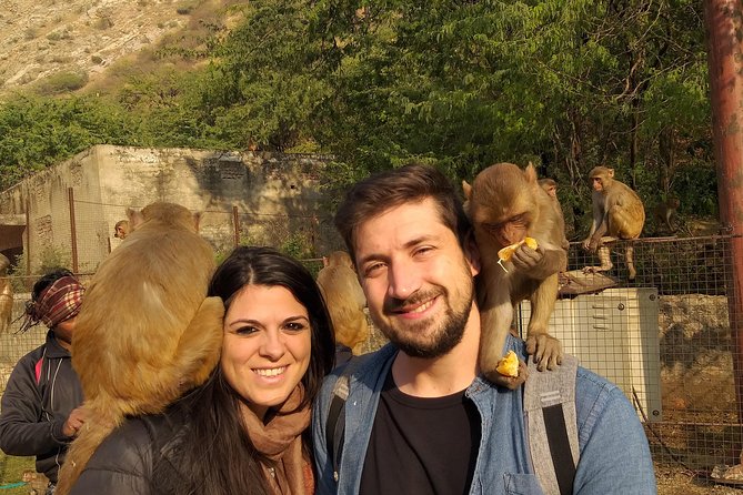 5 Nights 6 Days Private Golden Triangle Tour - Delhi Agra Jaipur - Why This Tour Offers Great Value