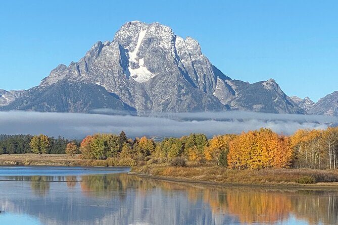 5 Person Full Day PRIVATE Yellowstone Tour- Picnic, Binoculars, Scope, Huge Van - A Detailed Look at the Yellowstone Private Tour
