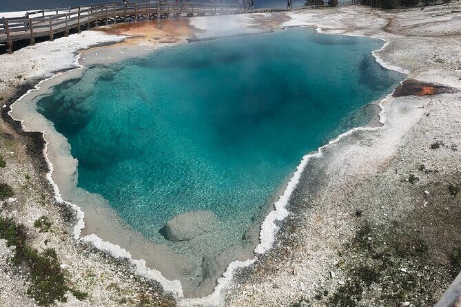 5 Person Full Day PRIVATE Yellowstone Tour- Picnic, Binoculars, Scope, Huge Van - The Sum Up
