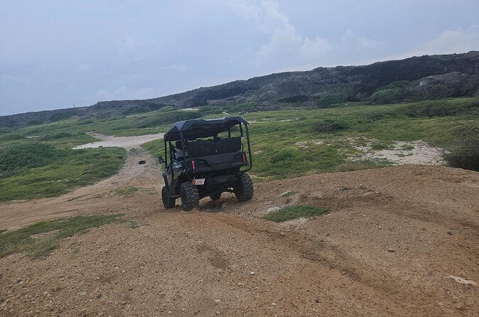 5-seater UTV 4 Hours Island tour in Aruba - The Review in the Words of Past Travelers