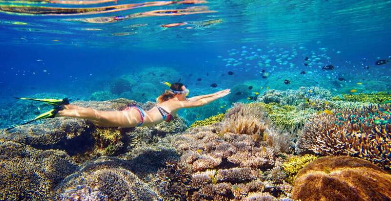 5 Secret Gili Boat Trip & Snorkeling in Southwest Of Lombok - Final Thoughts: Is This Tour Right for You?