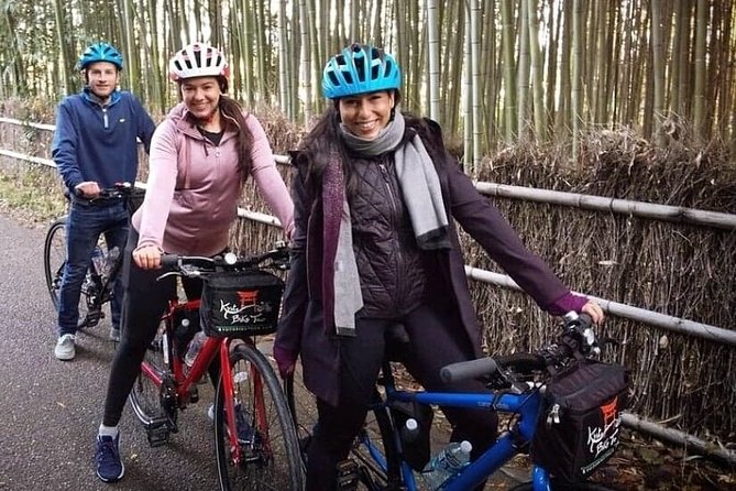 5 Top Highlights of Kyoto Full Day Bike Tour (E-Bike Option) - Meeting Details and Accessibility