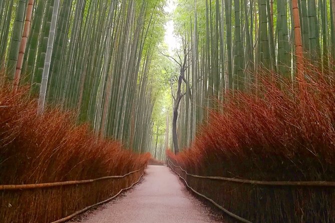 5 Top Highlights of Kyoto Full Day Bike Tour (E-Bike Option) - Visiting the Five Popular Attractions
