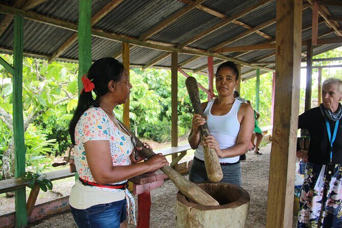 5 Tours of Jungle and Dominican Culture with Lunch - Who Will Love This Tour?