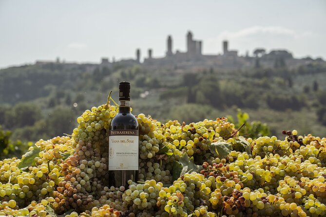 5 Wine Tastings in San Gimignano - Taking in the Picturesque Scenery