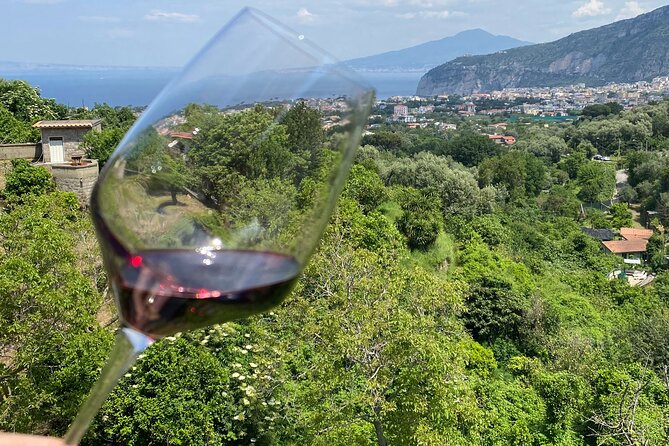 5 Wine Tastings With Typical Products in Sorrento Coast - Booking and Transportation Options