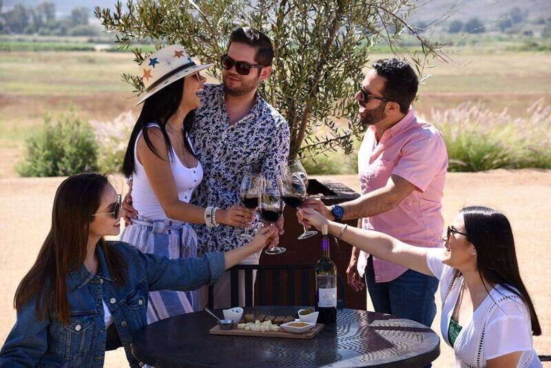 5 wines Tastings with Tour in Valle de Guadalupe Winery - Key Points