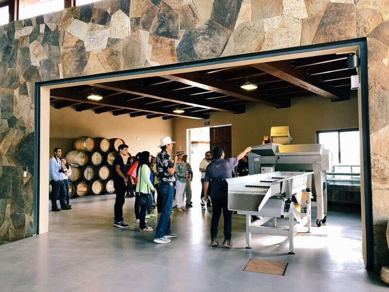5 wines Tastings with Tour in Valle de Guadalupe Winery - An Authentic Look at Rondo del Valle Winery