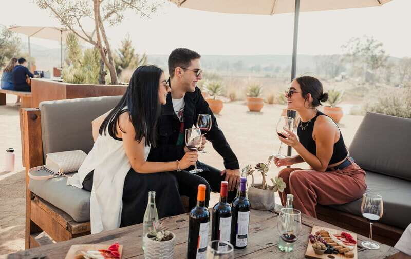 5 wines Tastings with Tour in Valle de Guadalupe Winery - The Sum Up