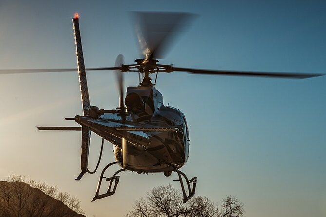 55 Mile - Helicopter Tour Around Zion National Park - Customer Reviews and Experiences