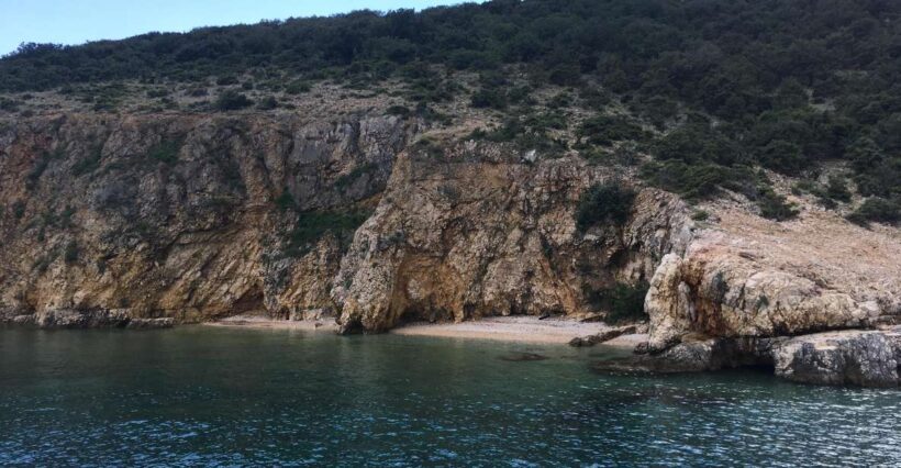 5,5h Plavnik Island: Swim & Snorkel with Capt. Bobo (Public) - The Sum Up