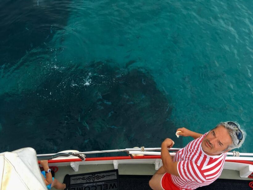 5,5h Plavnik Island: Swim & Snorkel with Capt. Bobo(Private) - Wildlife and Natural Encounters