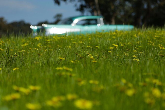 '56 Chevrolet 6-hr Yarra Valley Classic Car Private Tour (4 ppl) - Who Should Consider This Tour?