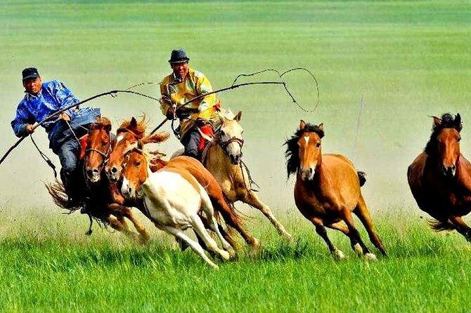 5Day Hulun Buir Private Tour to Grassland and Wetland with Hotel - Key Points