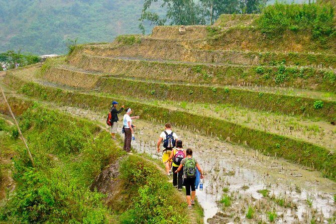 5days 4nights Lan Ha Bay-Sapa-Ninh Binh=>Free Airport Transfer &Street food tour - FAQ