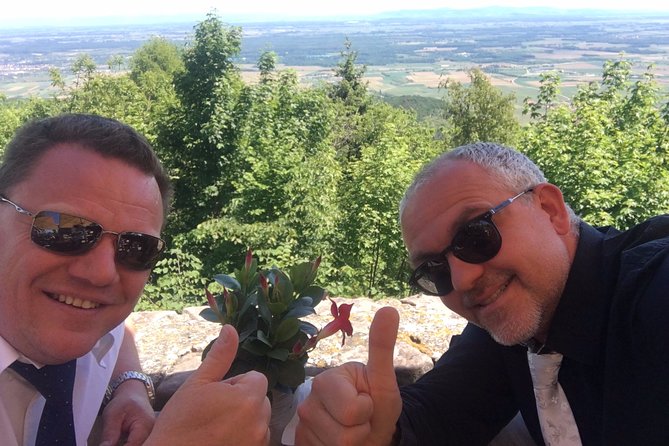 5H00 ALSACE PRIVATE TOUR-Castle, Villages, Wine, Friendly Driver - The Benefits of Traveling in a Tesla