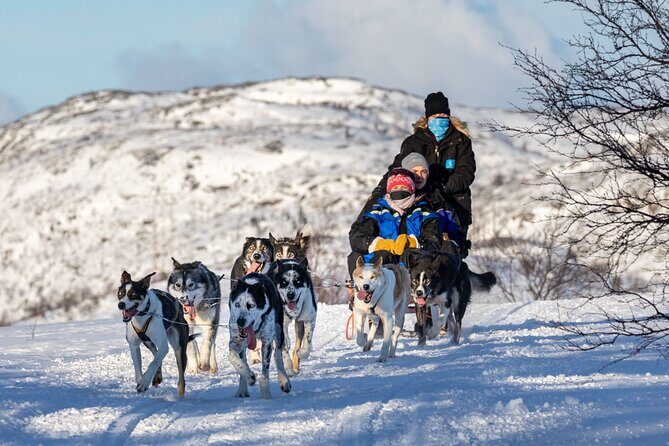 5KM Husky Sled Ride from Levi - FAQs about the Levi Husky Sled Experience