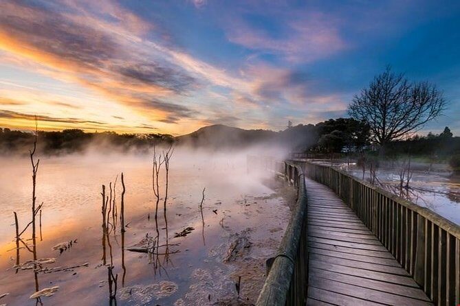 6.5 hour Small-Group Rotorua Naturally Shore Excursion - Tauranga - Introduction