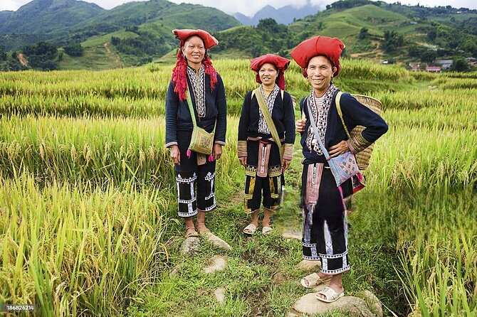 6 - 8 Day Vietnam Itinerary | Magnificent | Best 2025 Northern - The Practical Side: Transportation, Accommodation, and Price