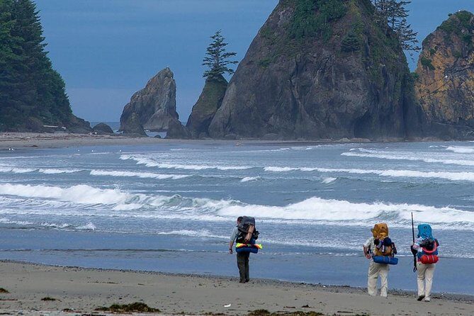 6-Day Backpacking Summer Camp Adventure in Olympic National Park - A Detailed Look at the Itinerary