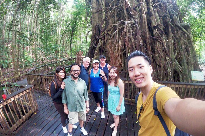 6-Day Best of Cairns Including the Great Barrier Reef, Kuranda and the Daintree Rainforest - Final Thoughts: Is This Tour Right for You?